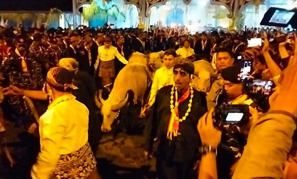 Keraton Solo Gelar Kirab Pusaka Malam 1 Suro, Kebo Bule jadi Cucuk Lampah