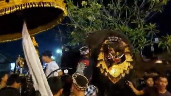 Pemuda di Tabanan Gelar Acara Mepetuk Barong Bangkal sebelum Hari Raya ...