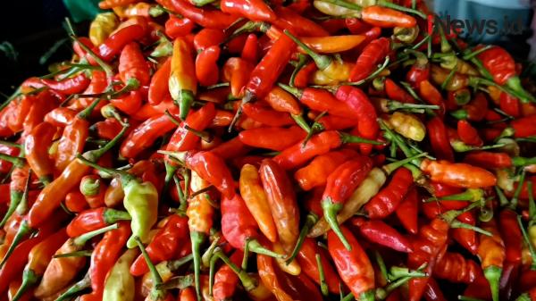 Harga Cabai Melambung Jelang Nataru di Pasar Blauran, Konsumen Terpaksa ...