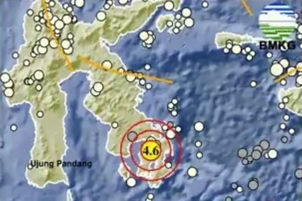 Gempa Magnitudo 4,6 Guncang Muna Barat, BMKG Ungkap Dipicu Aktivitas ...