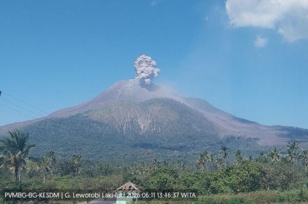 Gunung Lewotobi Laki-Laki Erupsi, Kolom Abu Tebal Membubung Setinggi ...