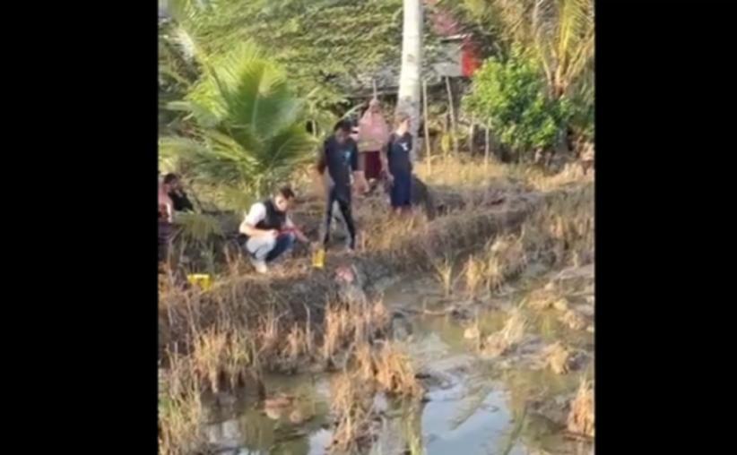 Biadab! Pelajar SMA di Luwu Timur Bunuh Gadis Tetangga gegara Cinta Tak ...
